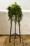 Three Leg Iron Plant Stand | Terrain