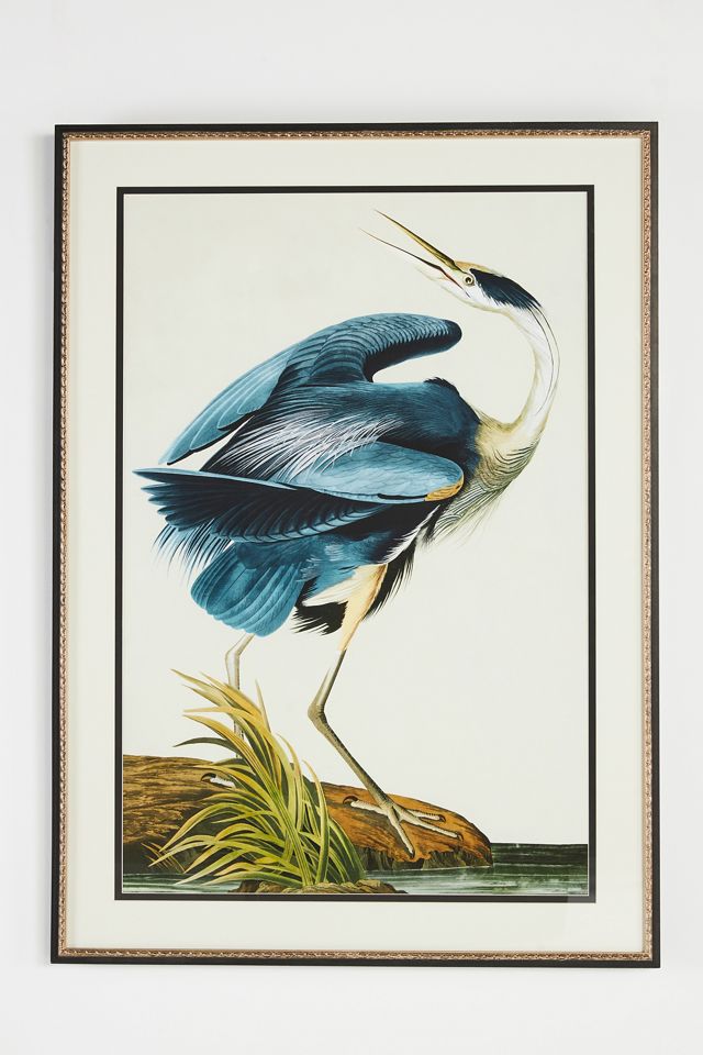 Audobon Blues Wall Art | AnthroHome
