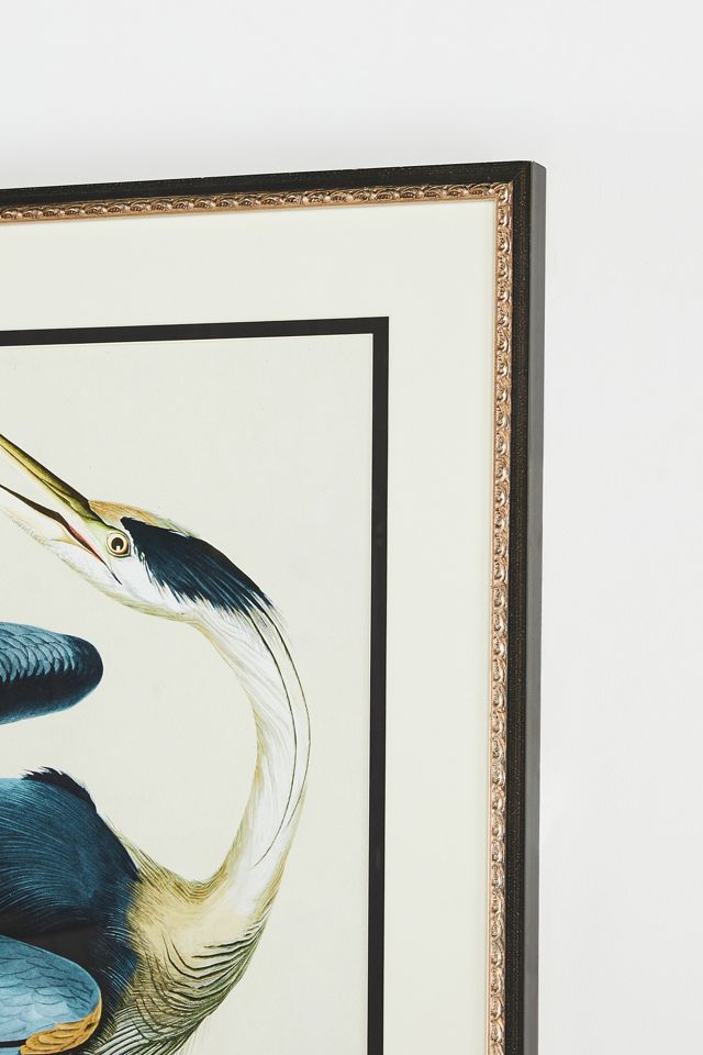 Audobon Blues Wall Art | AnthroHome