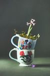 Francesca Kaye Floral Mug | AnthroLiving