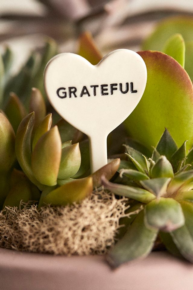 Sweetheart Plant Stakes, Set of 2 | Terrain