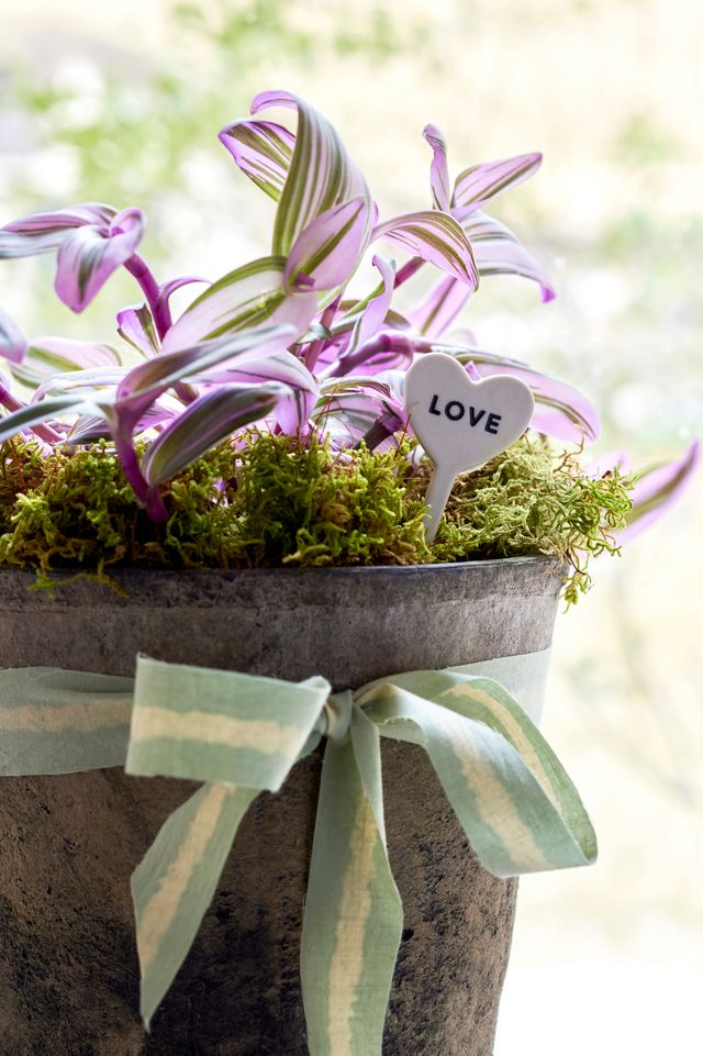 Sweetheart Plant Stakes, Set of 2 | Anthropologie