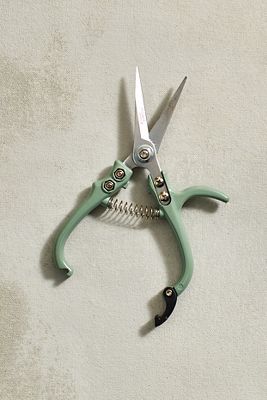 Pruning Snips | Terrain