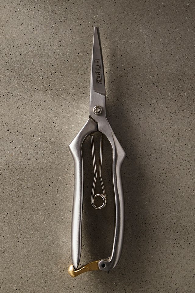 Sophie Conran for Burgon & Ball Snips | AnthroHome