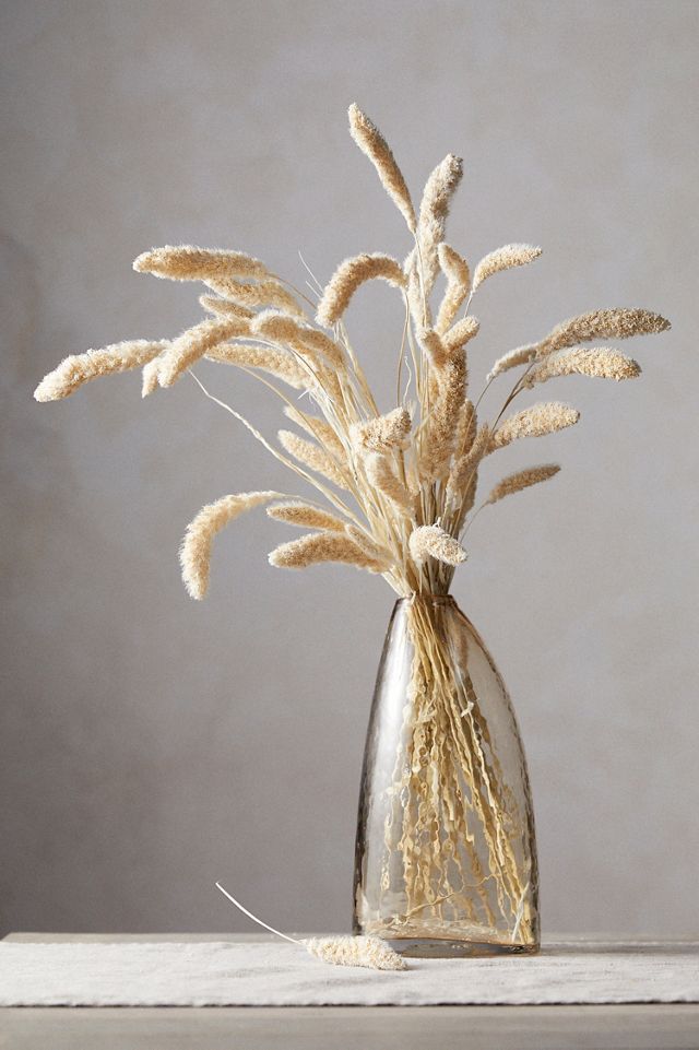 Bleached Setaria Bunch | AnthroLiving