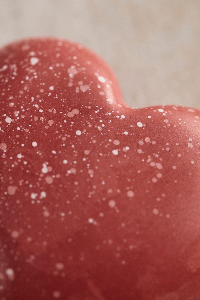 Aurora Grace Chocolate Raspberry Cheesecake Heart | Terrain