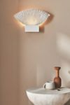 Venus Wall Sconce | AnthroLiving
