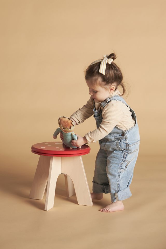 Toadstool | AnthroLiving