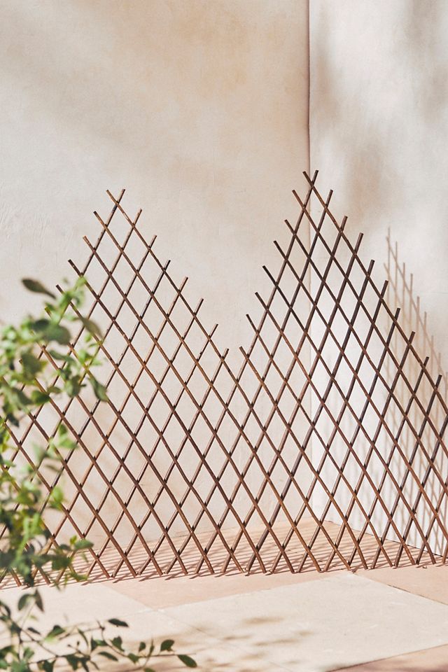 Diamond Top Willow Trellis | AnthroLiving