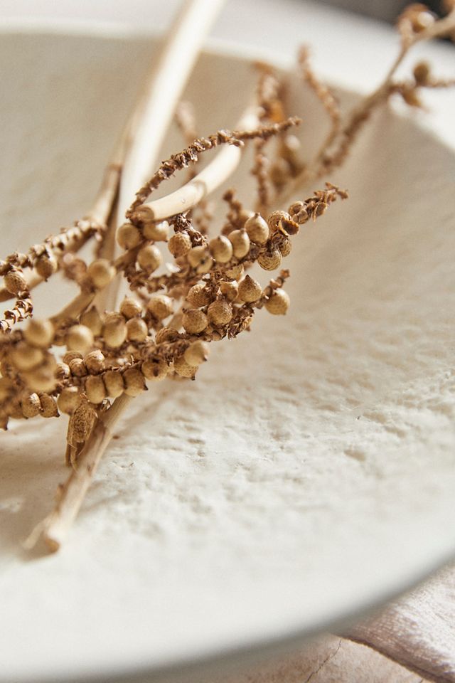 Decorative Ceramic Footed Bowl | Terrain