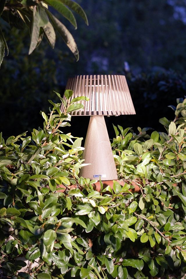 Solar Teak Lamp, Shade | Terrain