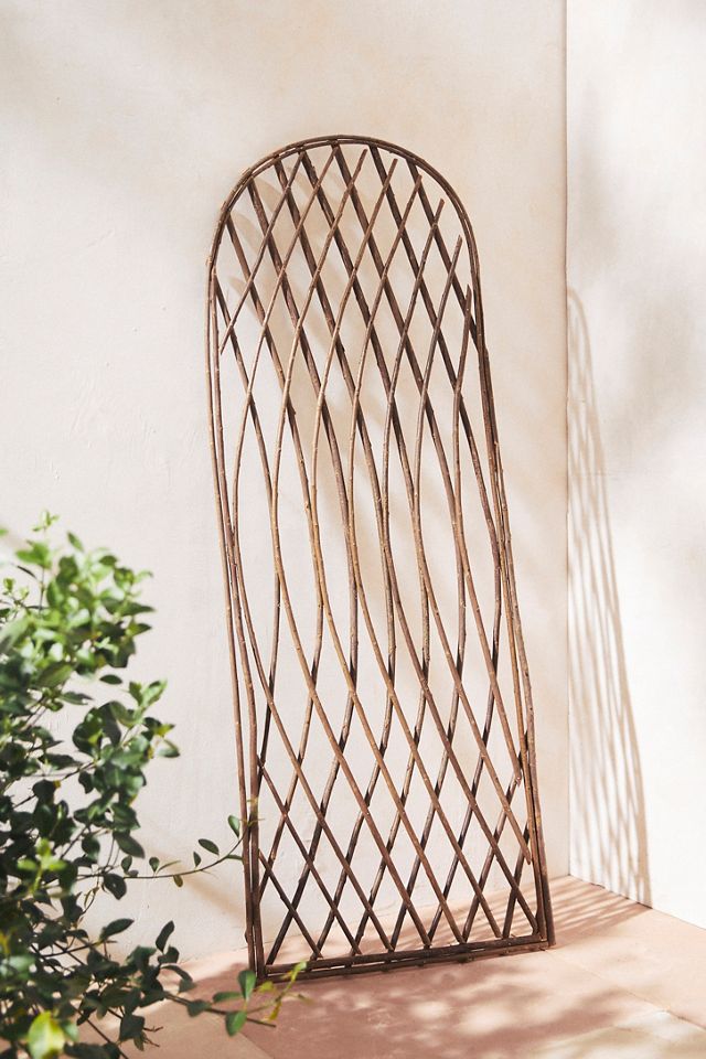 Rounded Top Willow Trellis | Terrain