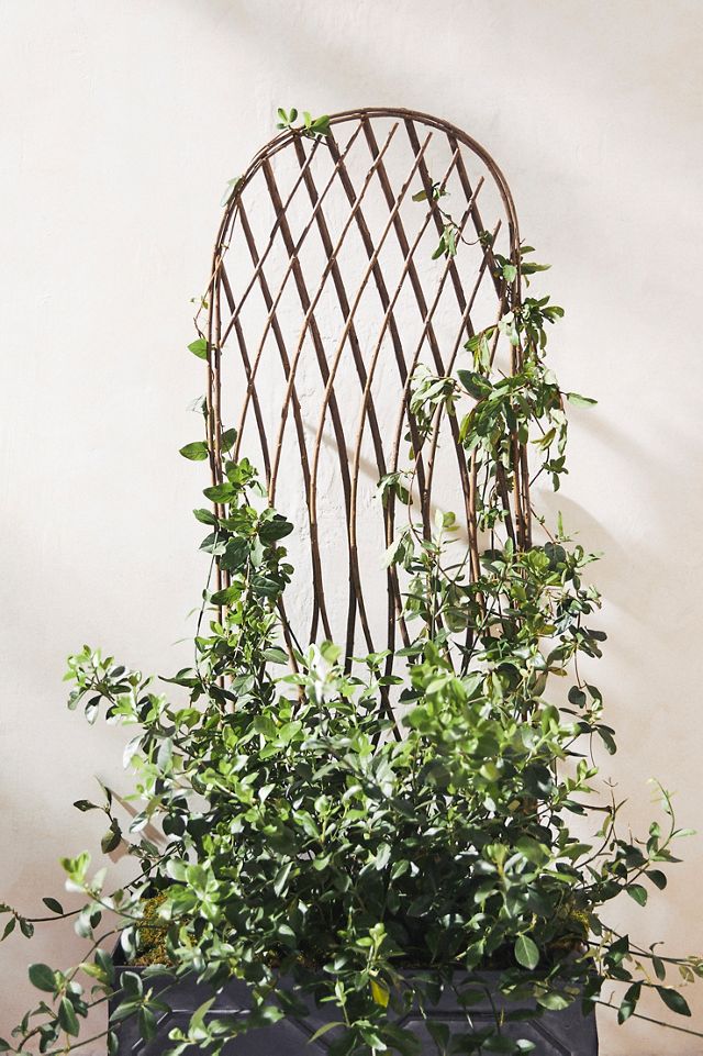 Rounded Top Willow Trellis | Terrain