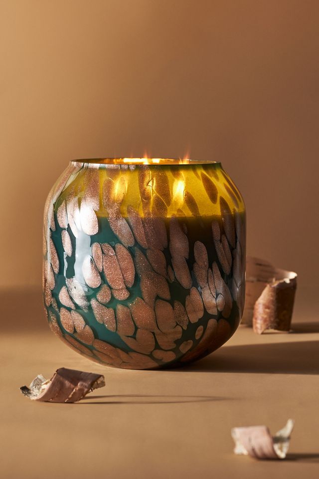 Cheena Woody Birchwood & Cashmere Metallic Glass Candle | AnthroLiving