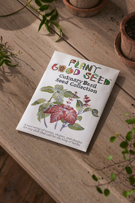 Plant Good Seed Company Culinary Basil Seed Collection | AnthroLiving