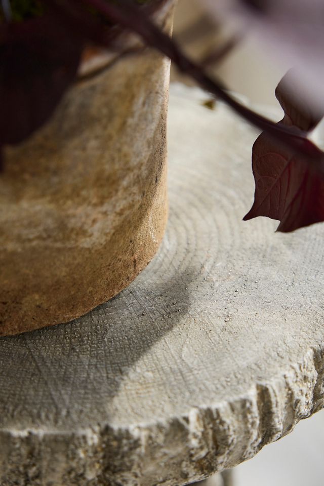 Faux Bois Stand | Terrain