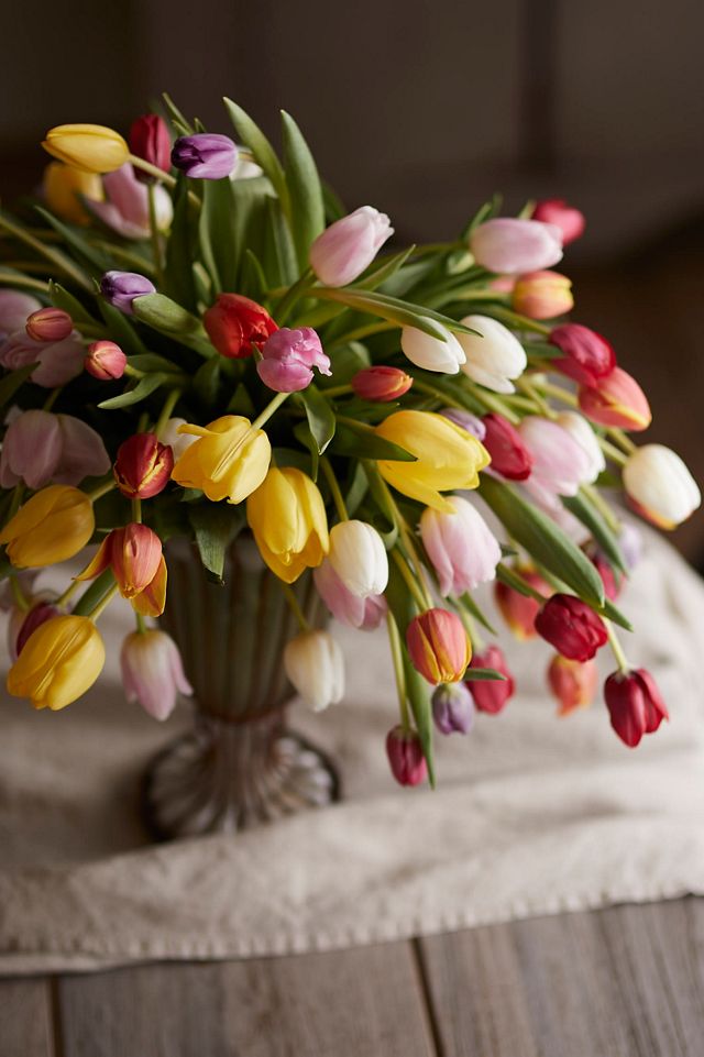 Fresh Mixed Tulip Bunch | Terrain