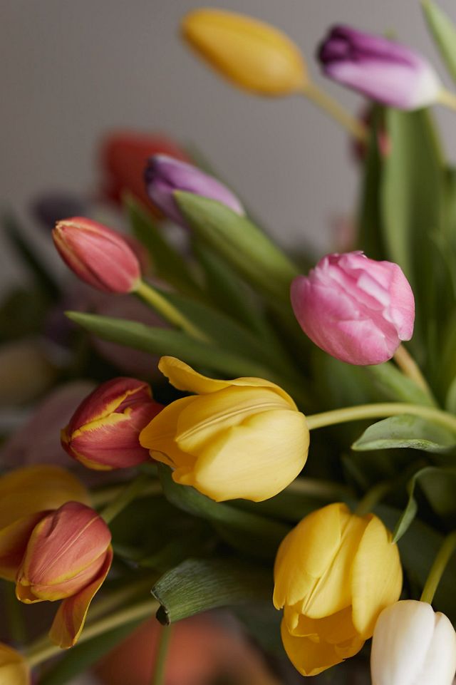 Fresh Mixed Tulip Bunch | Terrain