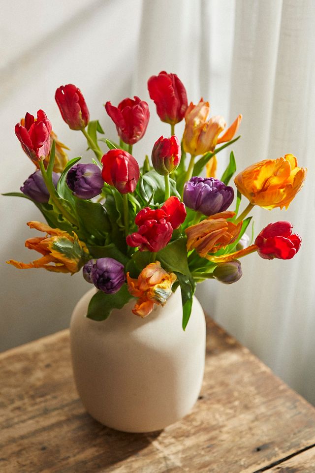 Fresh Jewel Tone Tulip Bunch | Anthropologie