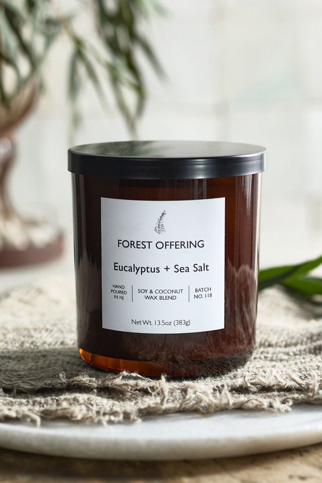 Forest Offering Candle, Eucalyptus + Sea Salt | Terrain
