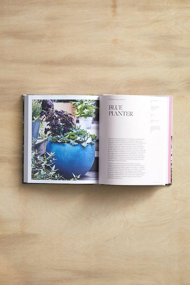 Modern Container Gardening | Terrain
