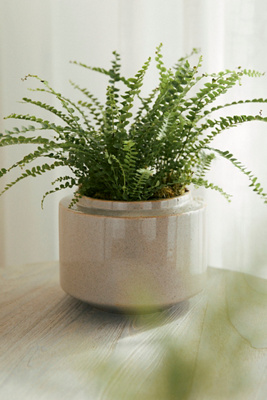 Shine Round Edge Pot | AnthroLiving