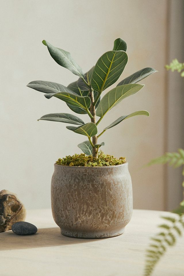 Textured Footed Pot | Terrain
