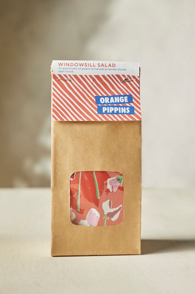 Orange Pippin Seed Collection | Terrain