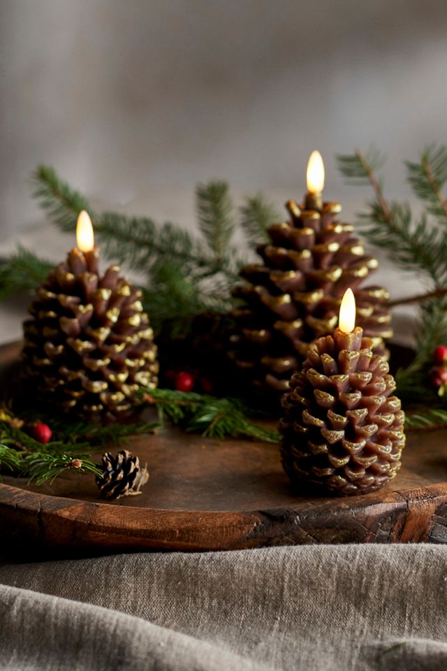 Flameless Pine Cone Candle, Brown | Anthropologie