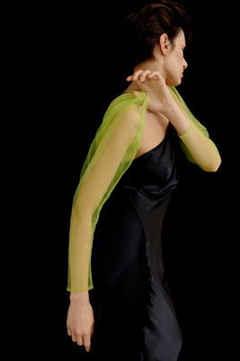 Tulle Pop Sleeves | Anthropologie