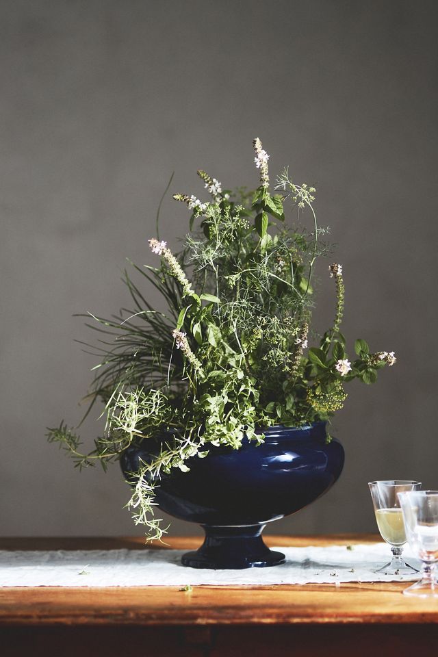Mimi Thorisson Italian Hours Compote Vase | AnthroLiving