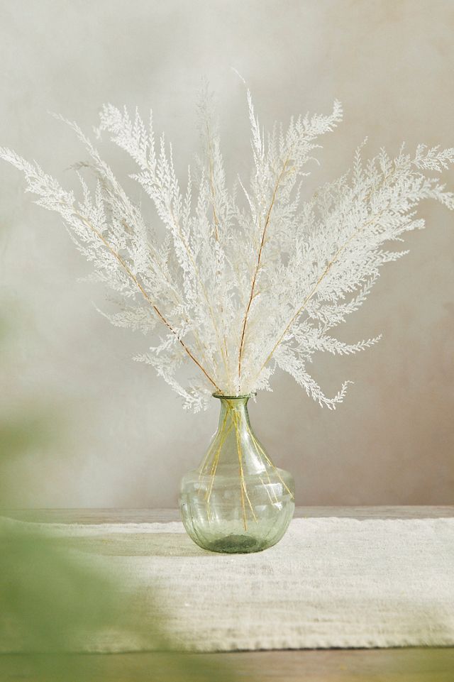 Preserved Bleached Fern Bunch | AnthroLiving