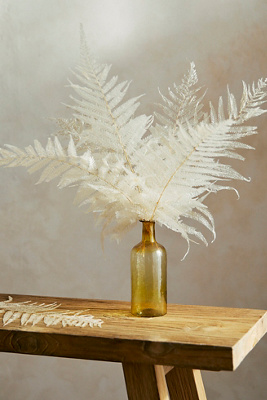 Bleached Fern Leaf Bunch | Terrain