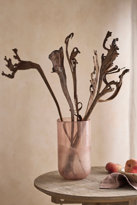 Dried Fantail Willow Bunch | AnthroLiving
