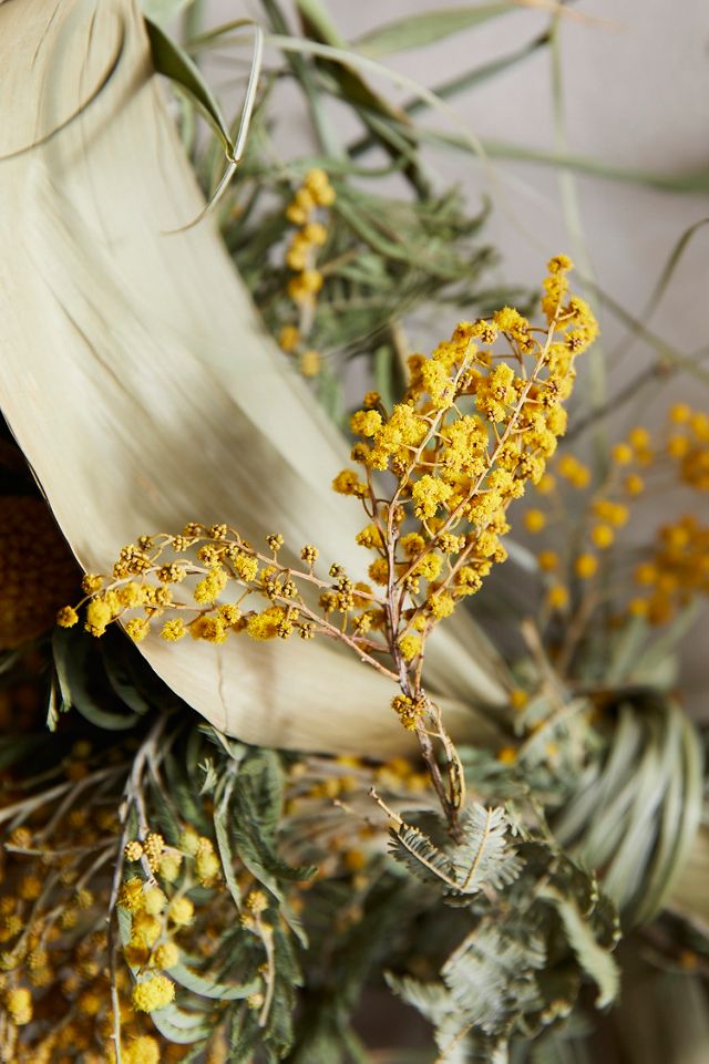 Ashn Earth Sunny Acacia Wreath | Terrain