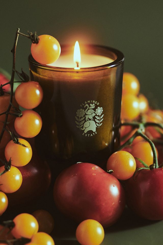 Flamingo Estate Candle | AnthroLiving