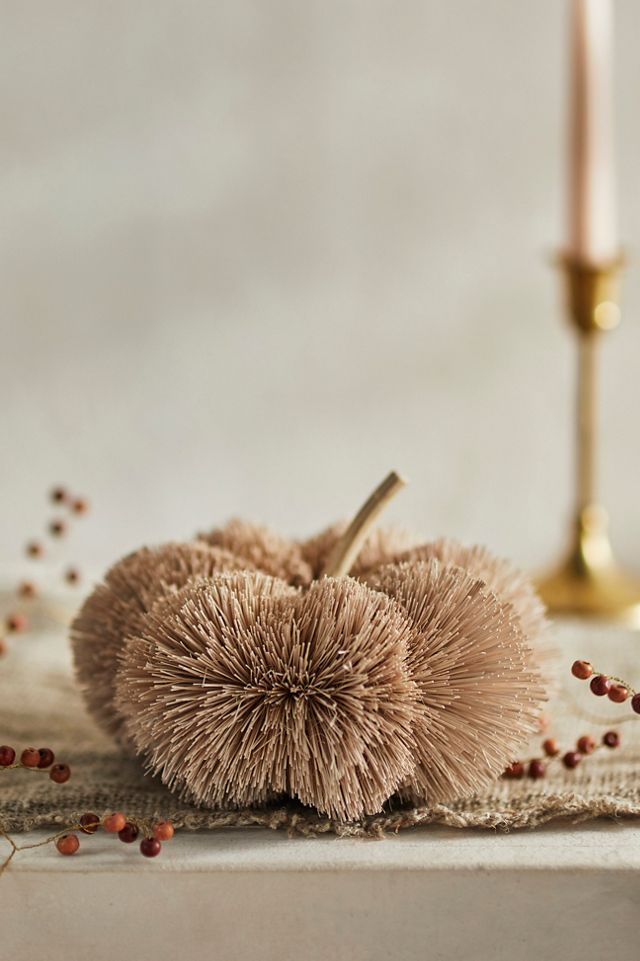 Brush Pumpkin, Large | Anthropologie