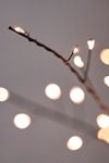 Pre-Lit LED Tree with Metal Base | AnthroLiving