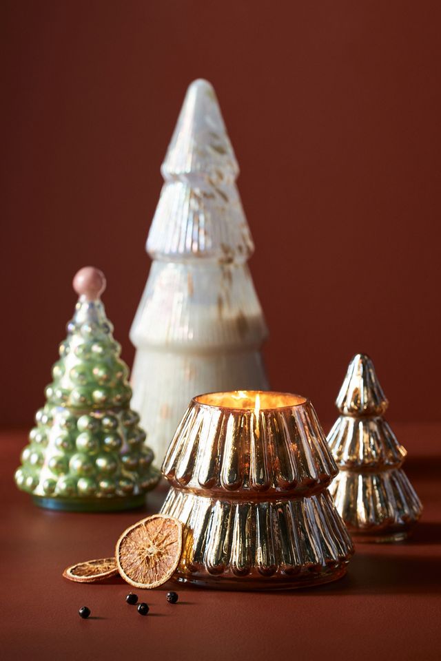 Hallorm Fresh Sparkling Citrus & Juniper Glass Tree Candle ...