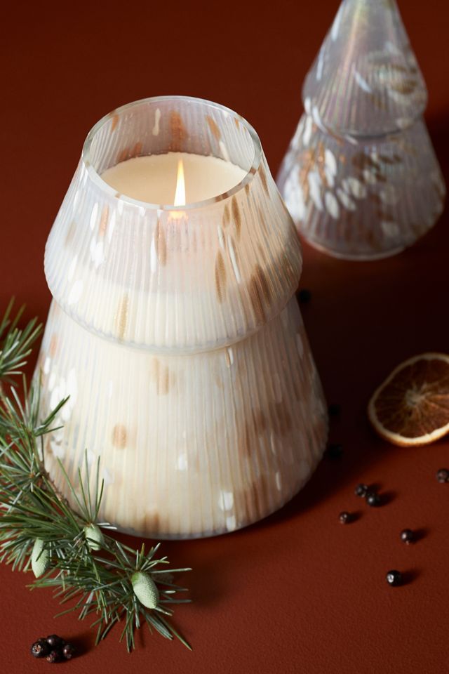 Hallorm Fresh Sparkling Citrus & Juniper Glass Tree Candle ...