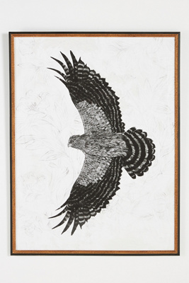 Falcon Wall Art | AnthroLiving