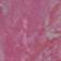 Magenta Wings Wall Art | AnthroLiving