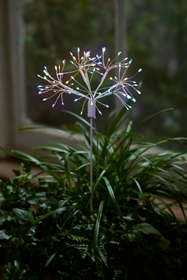 LED Multicolor Starburst Stake Light | Terrain