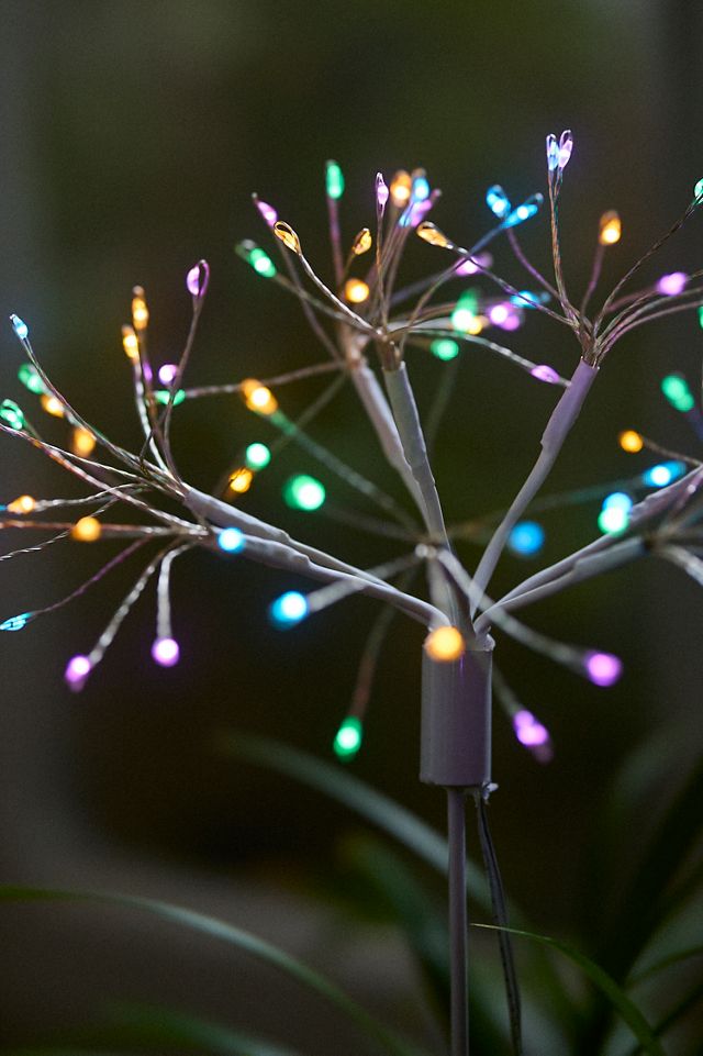 LED Multicolor Starburst Stake Light | AnthroLiving