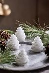 Lit Wax Evergreen Trees, Mini Set of 4 | AnthroLiving
