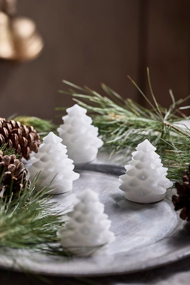 Lit Wax Evergreen Trees, Mini Set of 4 | Anthropologie