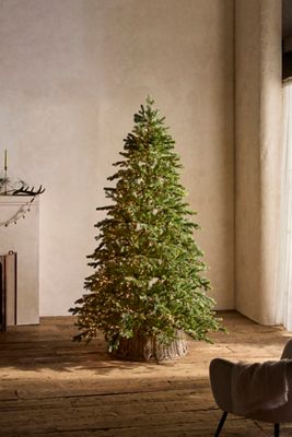 Faux Trees | AnthroLiving