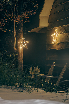 Stargazer Illuminated LED Vine Star | Anthropologie