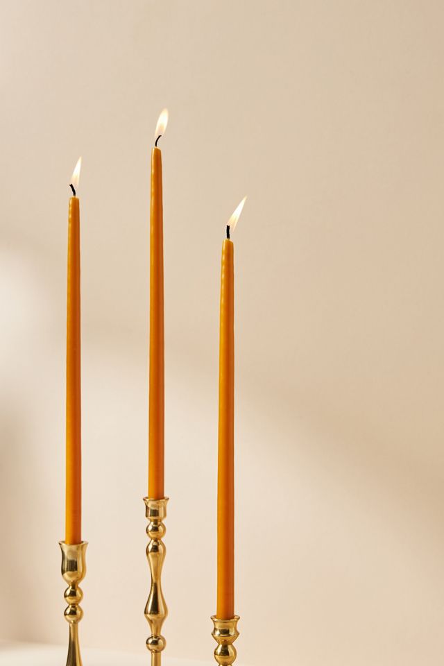 Mini Taper Candles, Set of 12 | AnthroHome