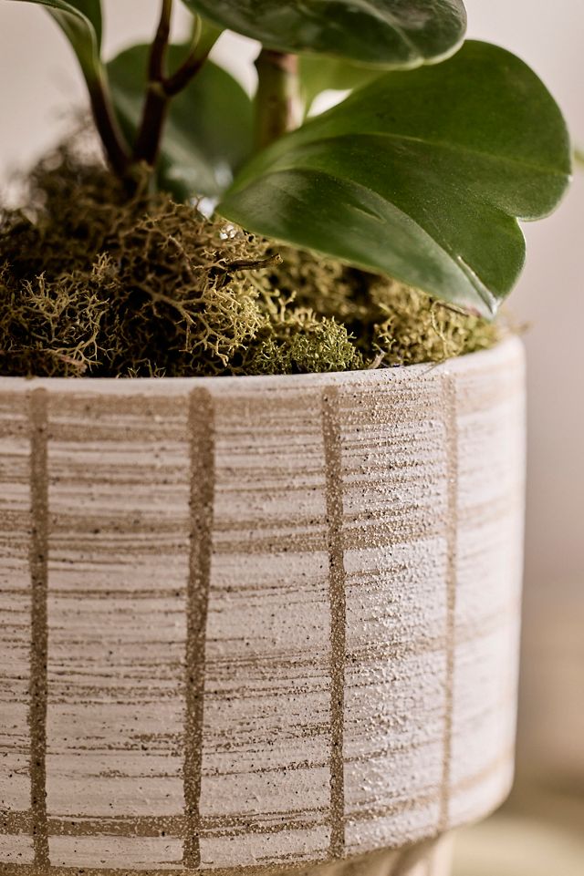 Grid Ceramic Pot | Terrain